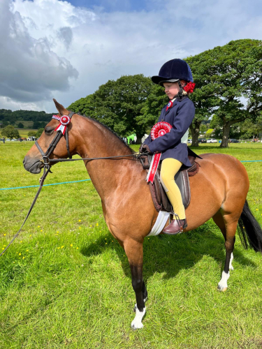 Lead Rein Show Pony - Ponies For Sale & Wanted - England - Ponies For ...