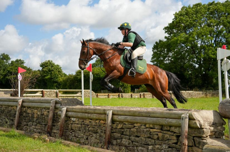 Fantastic hunting pony/ All rounder/ PC along - Ponies For Sale ...